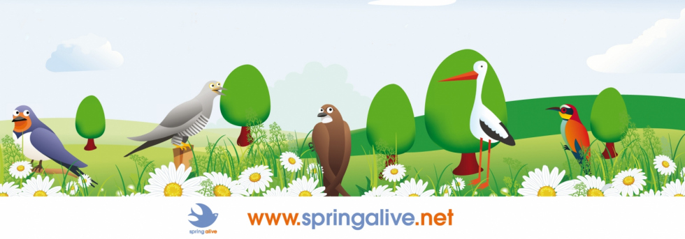 Spring Alive - Tous Scientifiques